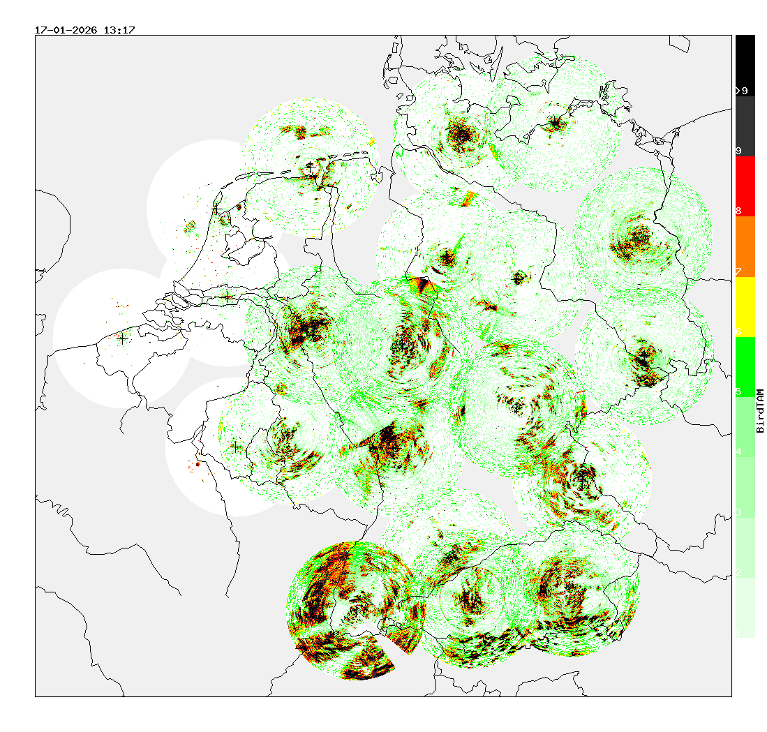 The FlySafe Bird Avoidance Model