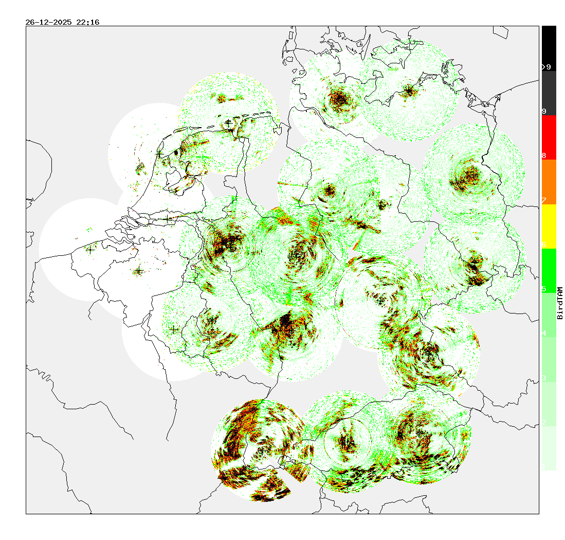 The FlySafe Bird Avoidance Model